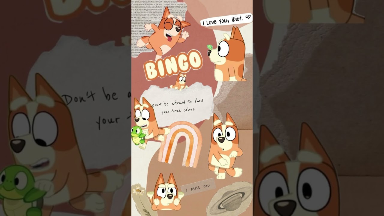 20 wallpapers #buey #Bingo