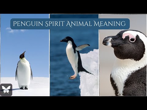 Penguin Spirit Animal Symbol & Meaning thrive in some of the