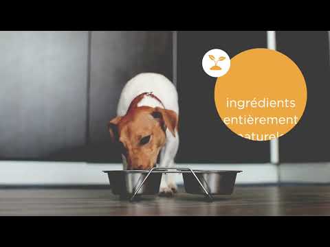 maxxicardio Complément Alimentaire Cardiaque & Vasculaire pour Chien