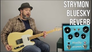 Strymon blueSky Reverberator - What To Know & Where To Buy | Equipboard