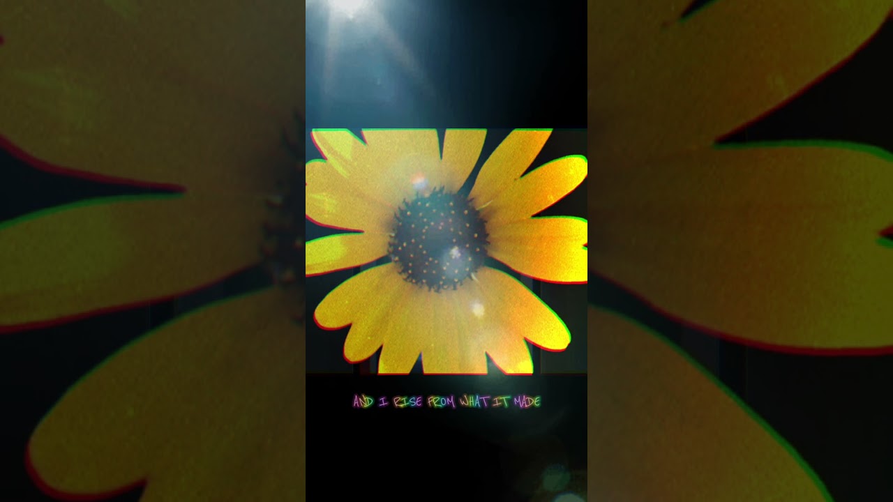 My Beacon Home- TDay