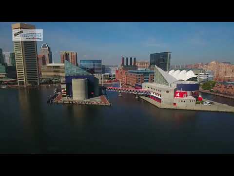 Best Free White Pages Maryland Sites