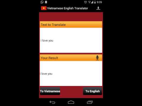 Vietnamese English Translator