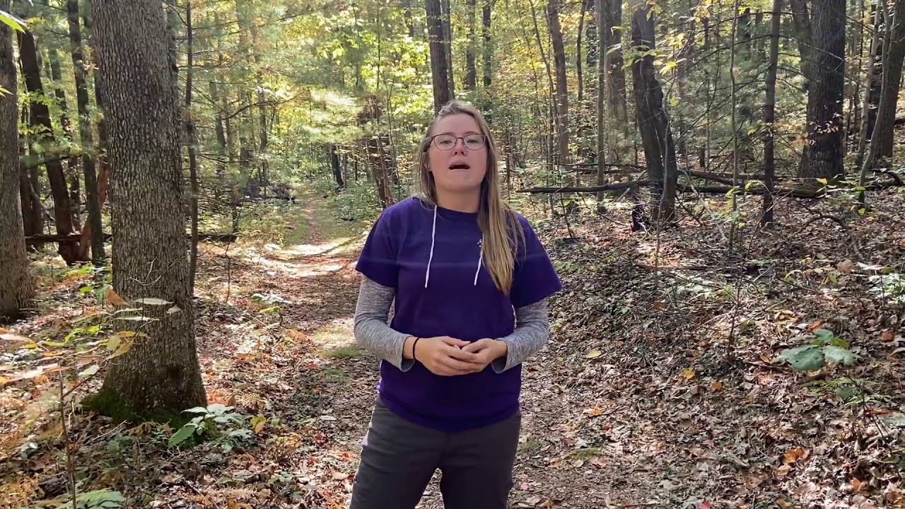 A Walk in the Woods - Fall Phenophases
