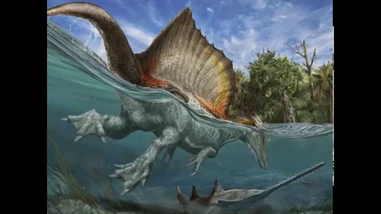 Cool Spinosaurus Images #1
