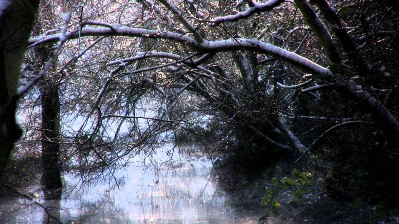 Lewes Railway Land Project in Winter - A Videola