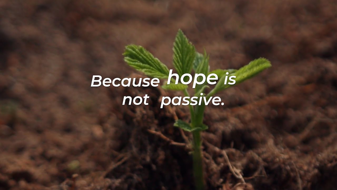 Canopy Tree Project: A New Chapter, Rooted in Community