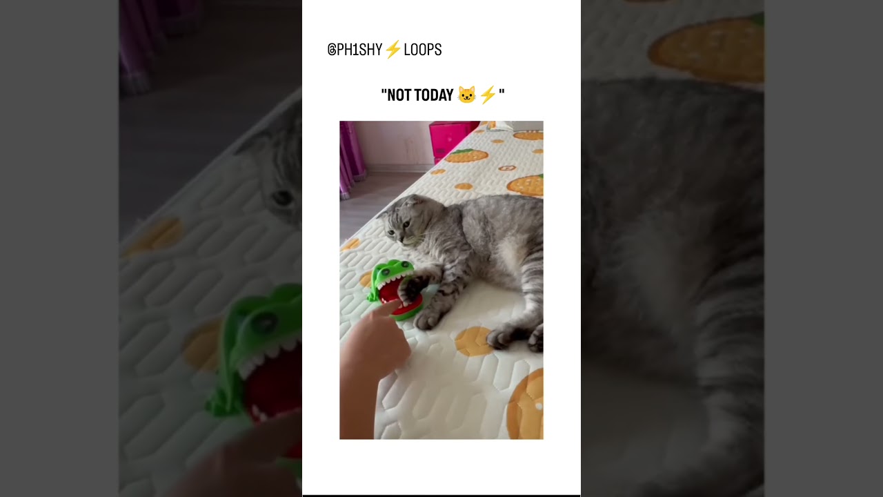 Cat vs Crocodile Dentist 😼🐊 | NOT TODAY ⚡