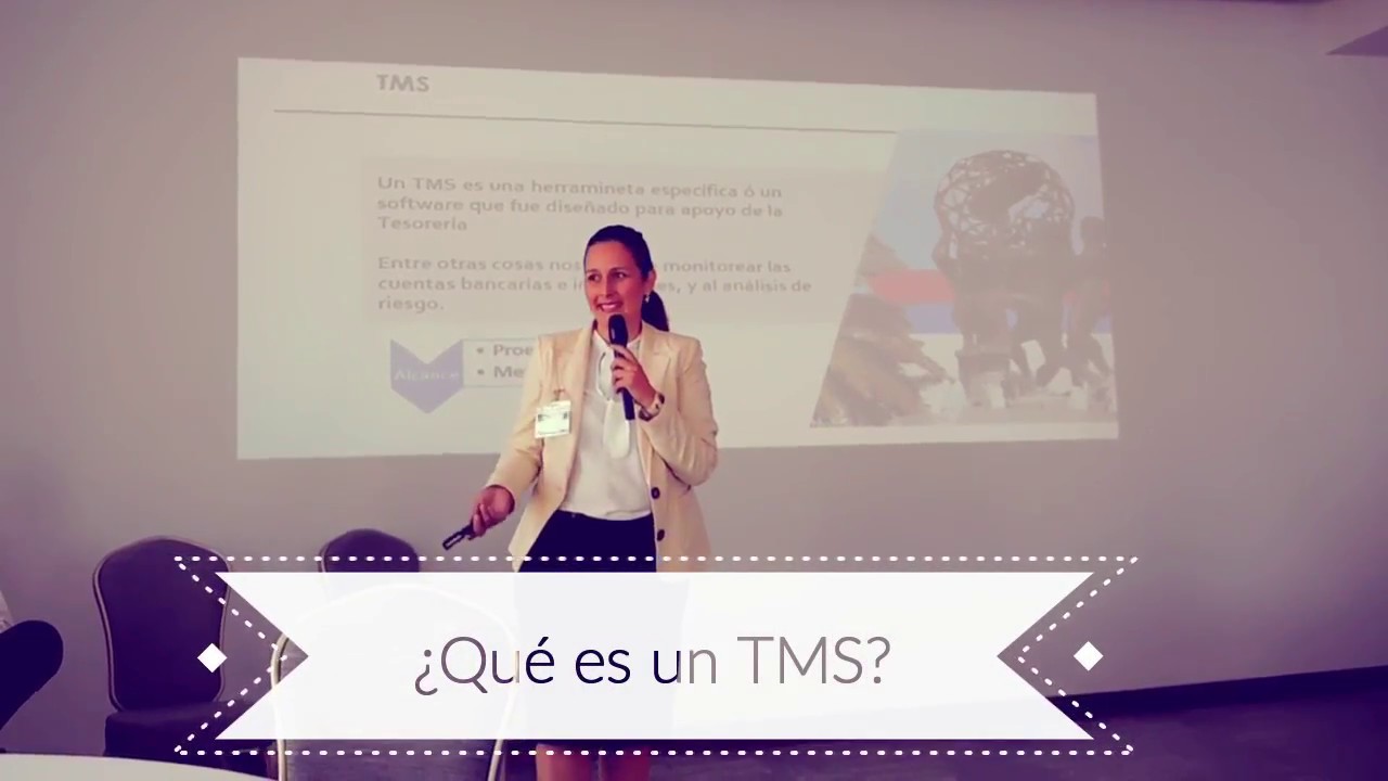 Software de Tesorería INTEGRITY (TMS) -Caso de éxito METALSA