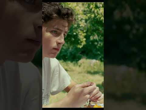 "Call Me By Your Name" a film video essay on falling in love