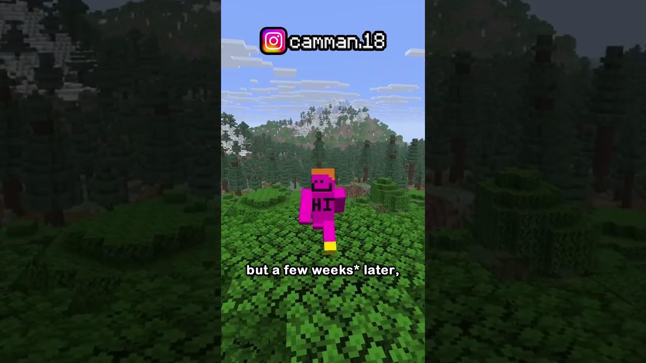 What Happened to Mineplex?