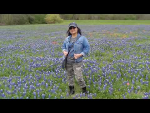 Bluebonnets Trail-Ennis, Texas