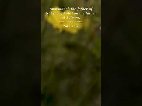 Bible | Ruth 4:20 | Amminadab the father of Nahsho...