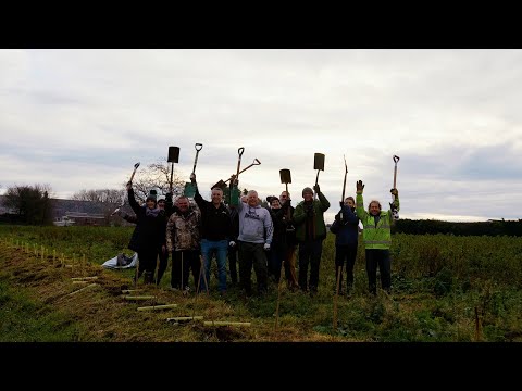 JT Community Tree Planting - Green Grid Project
