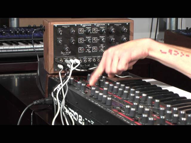 DAVE SMITH INSTRUMENTS DSM02 Character Module Eurorack-Modul | Kytary.de