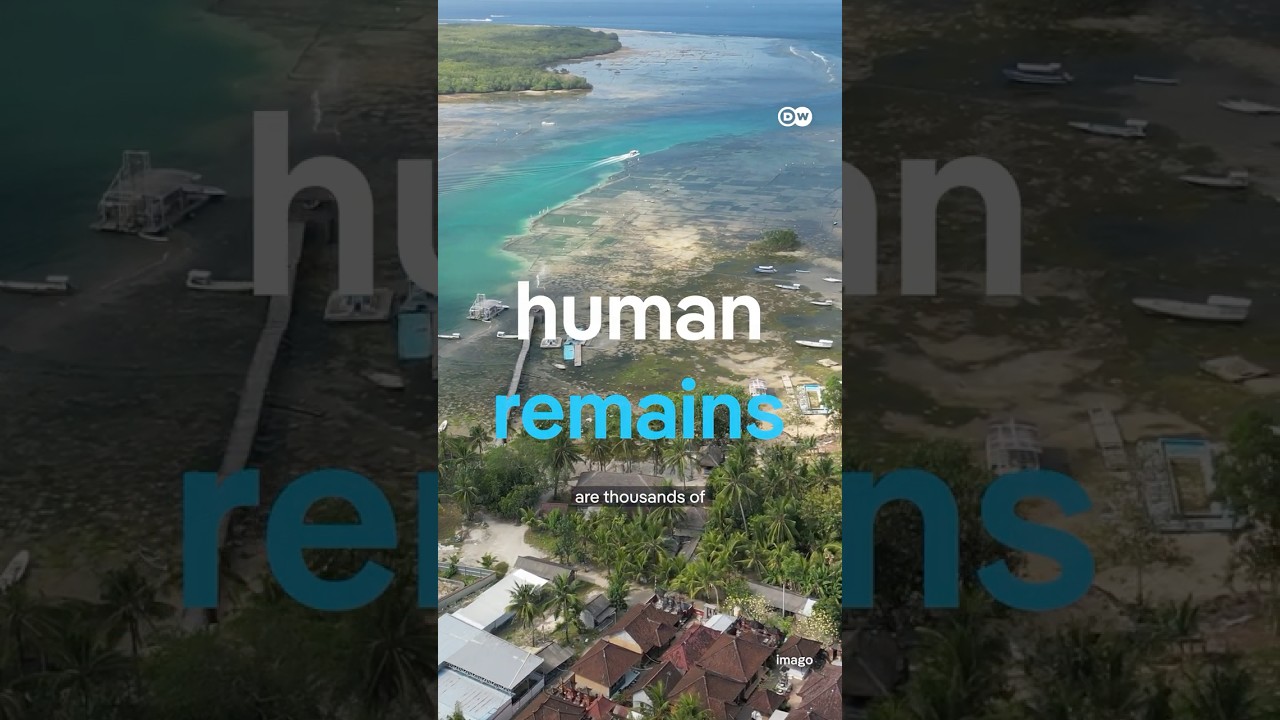 The Shocking Truth About U.S. Backing in Indonesia’s Mass Killings