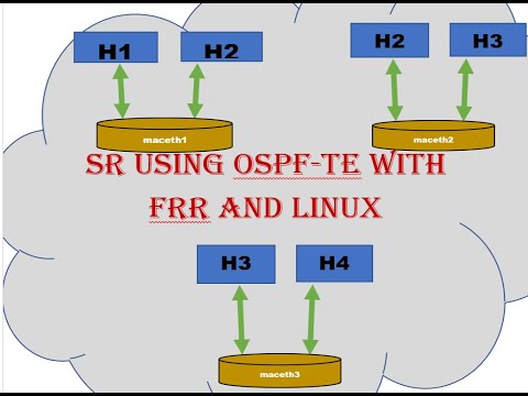 Segment Routing with OSPF using Linux | Hands on experience of networking | SR hands on with Linux