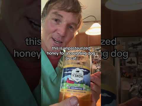 Great kitchen remedy for pet coughing, wound healing and urinary tract infection