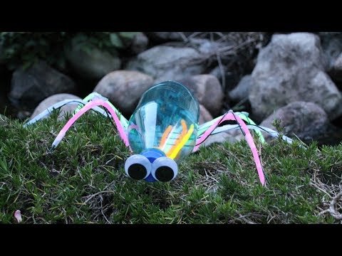 Plastic bottle insect crafts