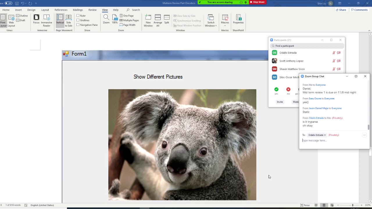 Visual Basic programming,  creates variables