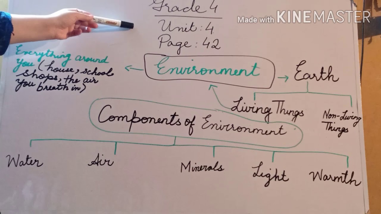 New Oxford primary science grade 4