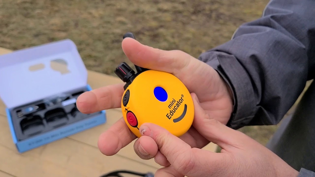 ECollar Setup Tutorial - ET 300 mini educator