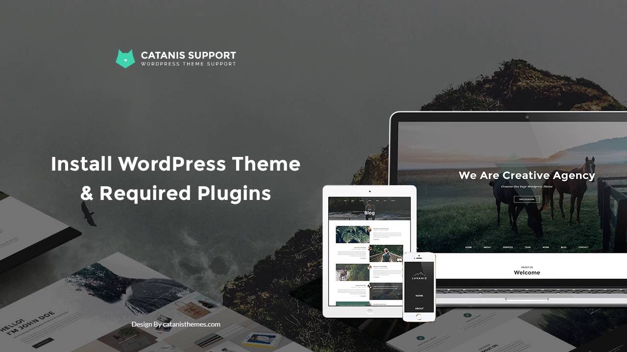 Install WordPress Theme and Required Plugins