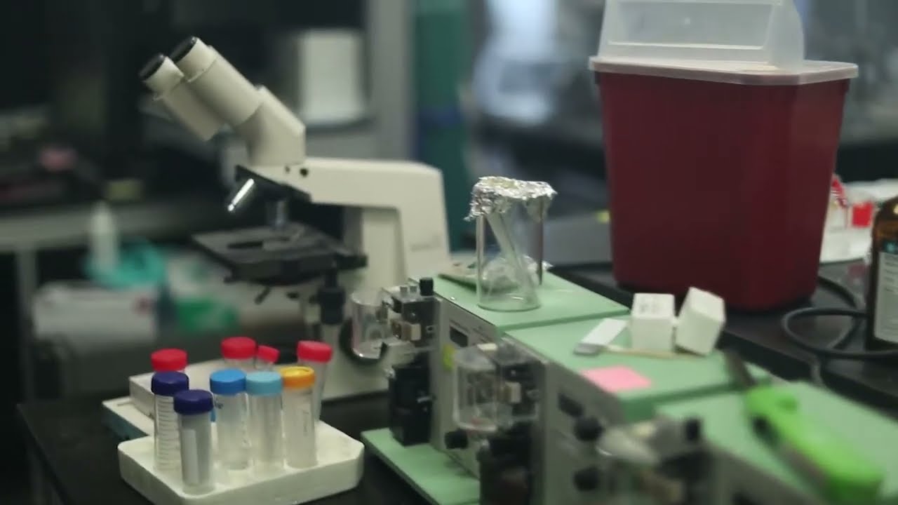 Preventing MS in High-Risk Groups | National MS Society
