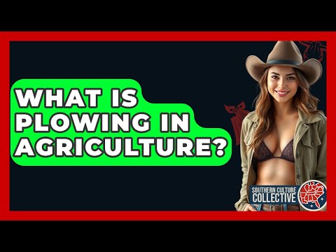 What Is Plowing In Agriculture? - Southern Culture Collective
