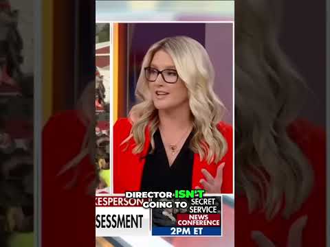 Urgent Reform Needed Secret Service Faces Systemic Issues