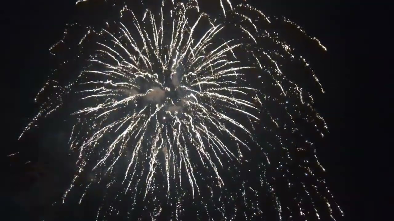 Newick bonfire fireworks 2024