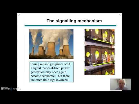 AS Econ - Resource Allocation & the Price Mechanism (Part 1)