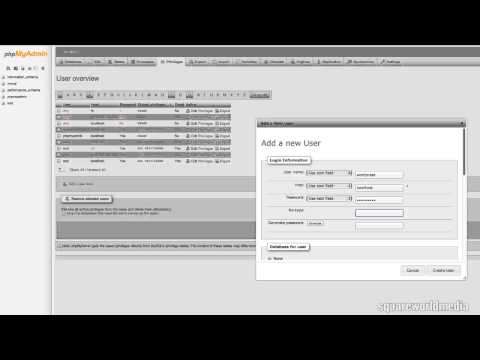 Wordpress SQL Database setup