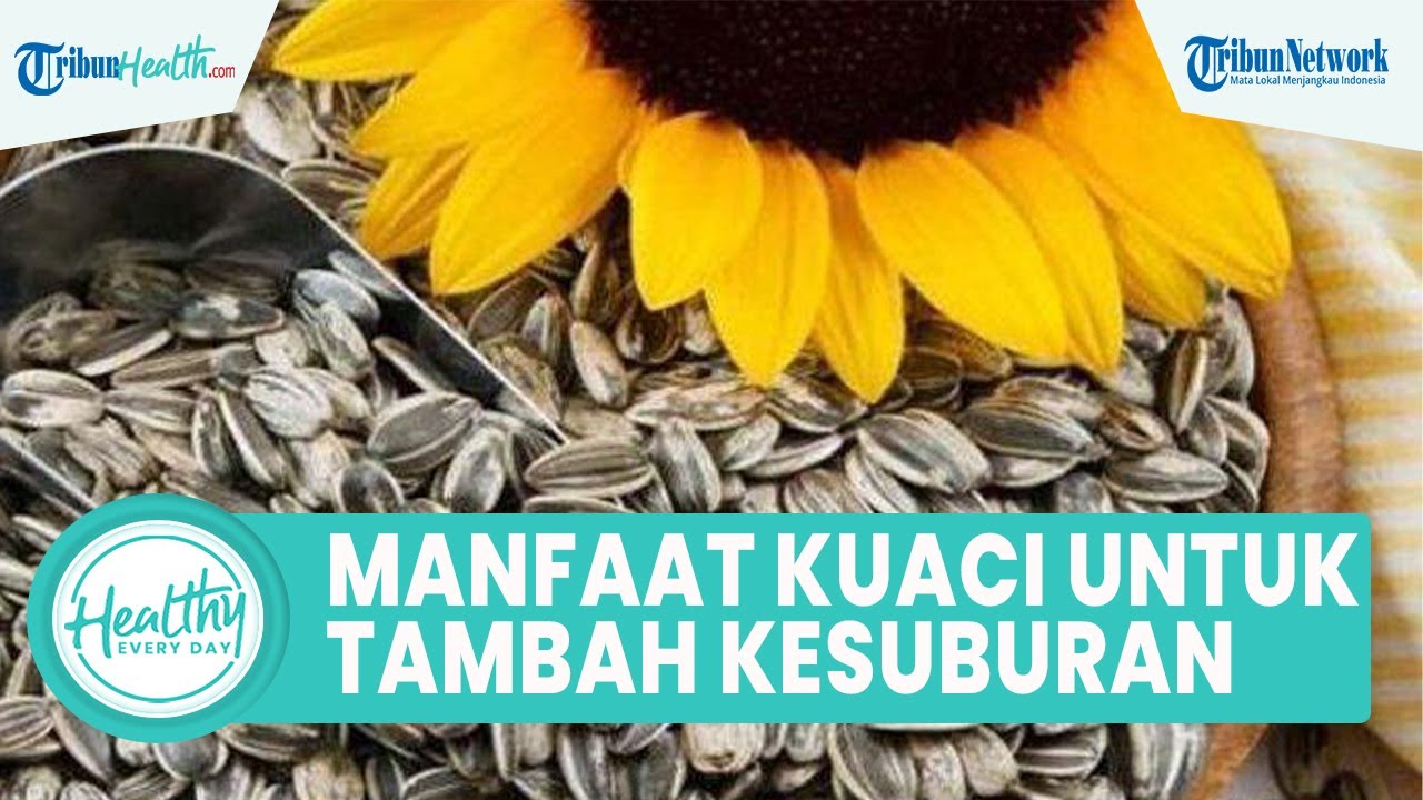 Sederet Manfaat Kuaci untuk Meningkatan Fungsi Reproduksi hingga ...