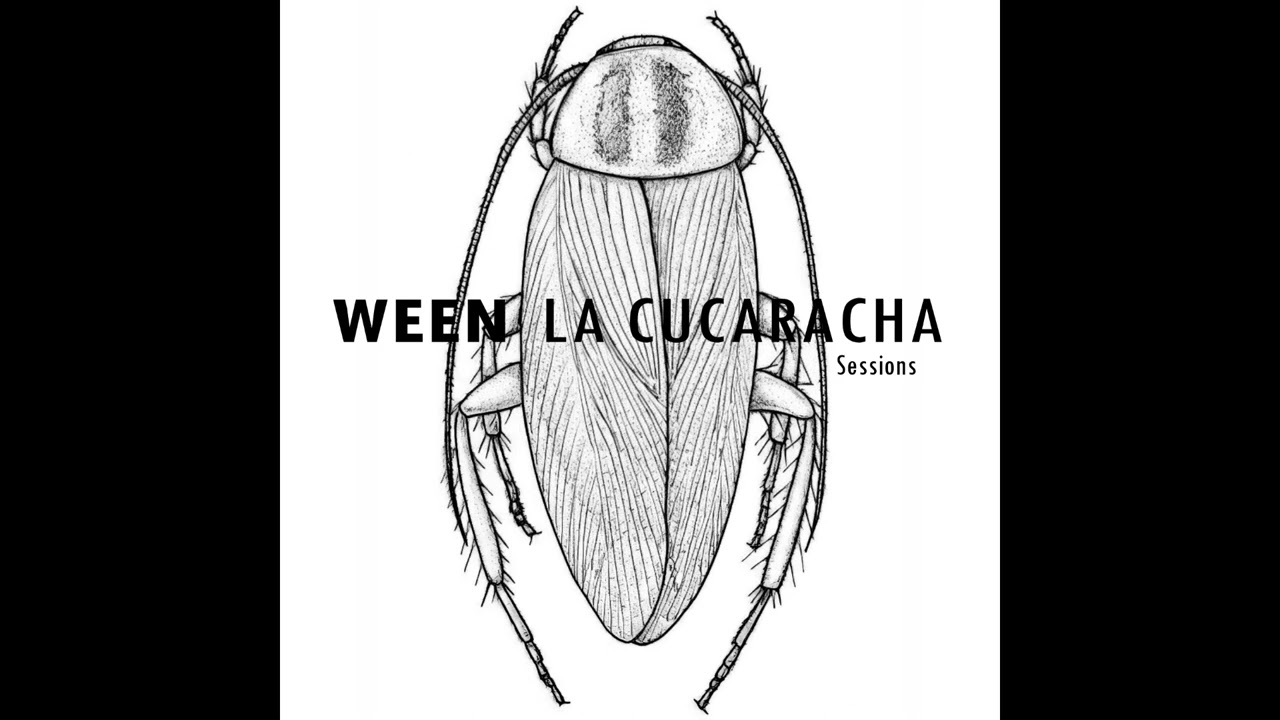 Ween - Fuck You 2 (Bonus Track)