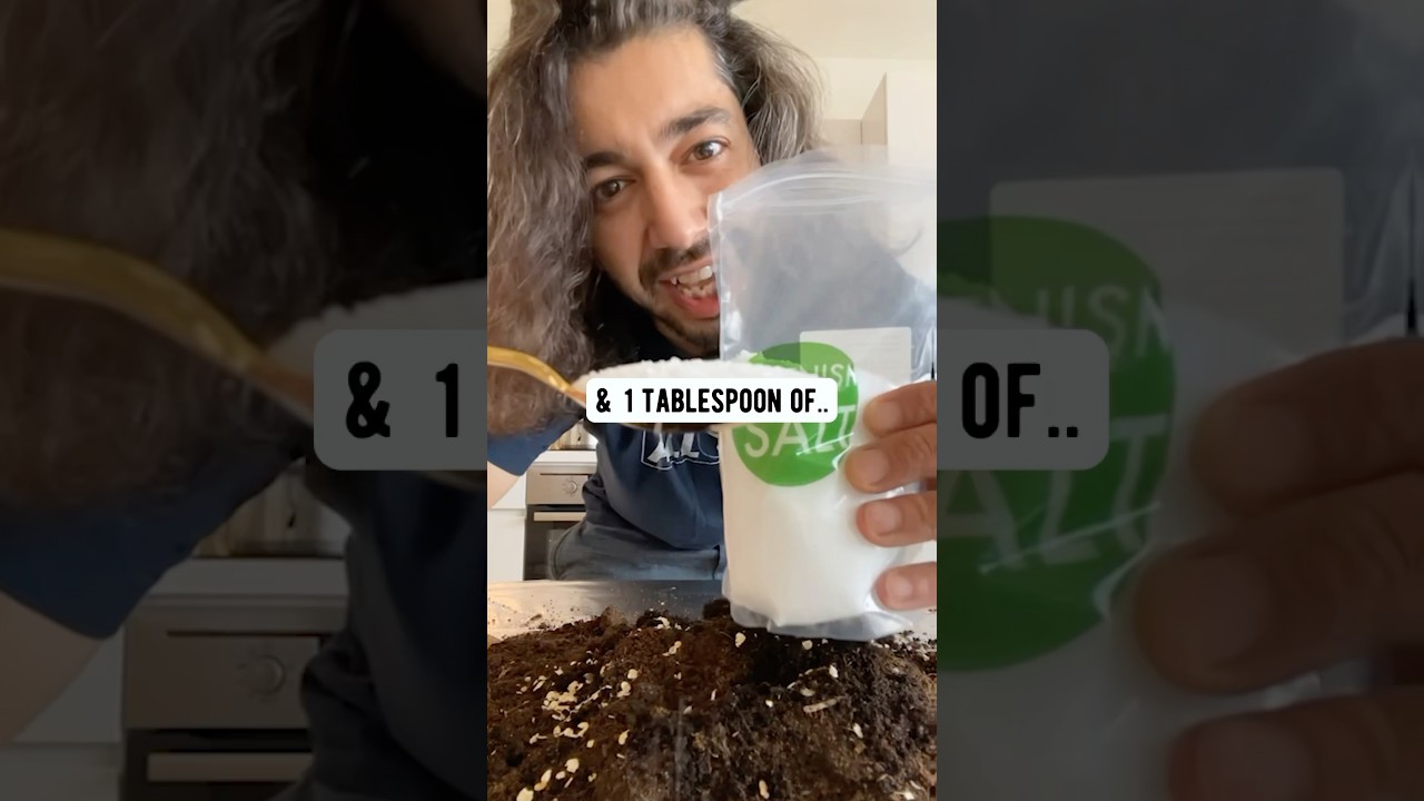 How to Fix a Dying Plant | creative explained