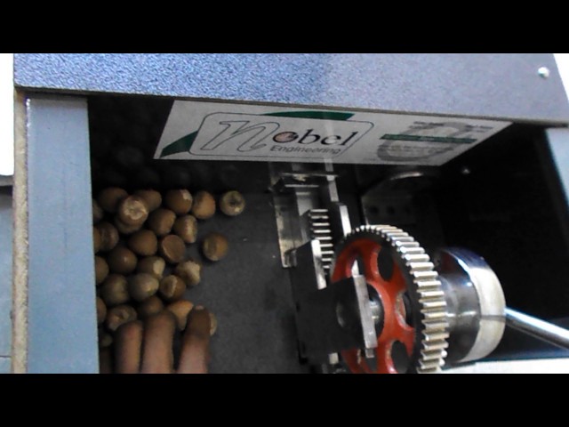 Supari Cutting Machine - Fully Automatic Supari Cutting plant ...