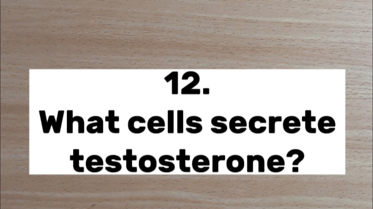 Quiz on Male Reproductive system