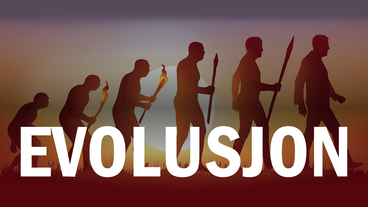 Introduksjon til Evolusjon