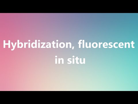 Hybridization, fluorescent in situ - Medical Meaning and Pronunciation