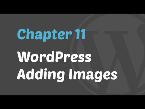 WordPress 101 - Adding Images in WordPress Posts