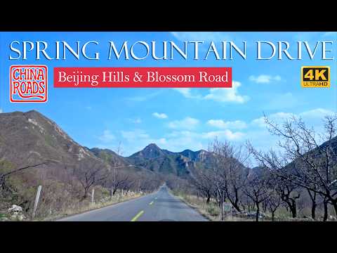 Serene Spring Drive in Northern China – Winding Mountain Roads, Blossoms & Hidden Valleys | 4K POV