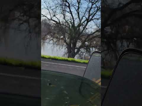 San Joaquin river floods ranch airport way - kasson rd tracy ca vernales