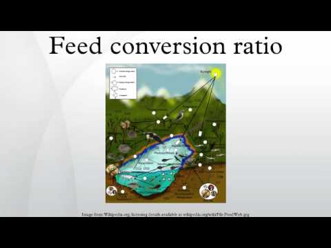 Feed conversion ratio