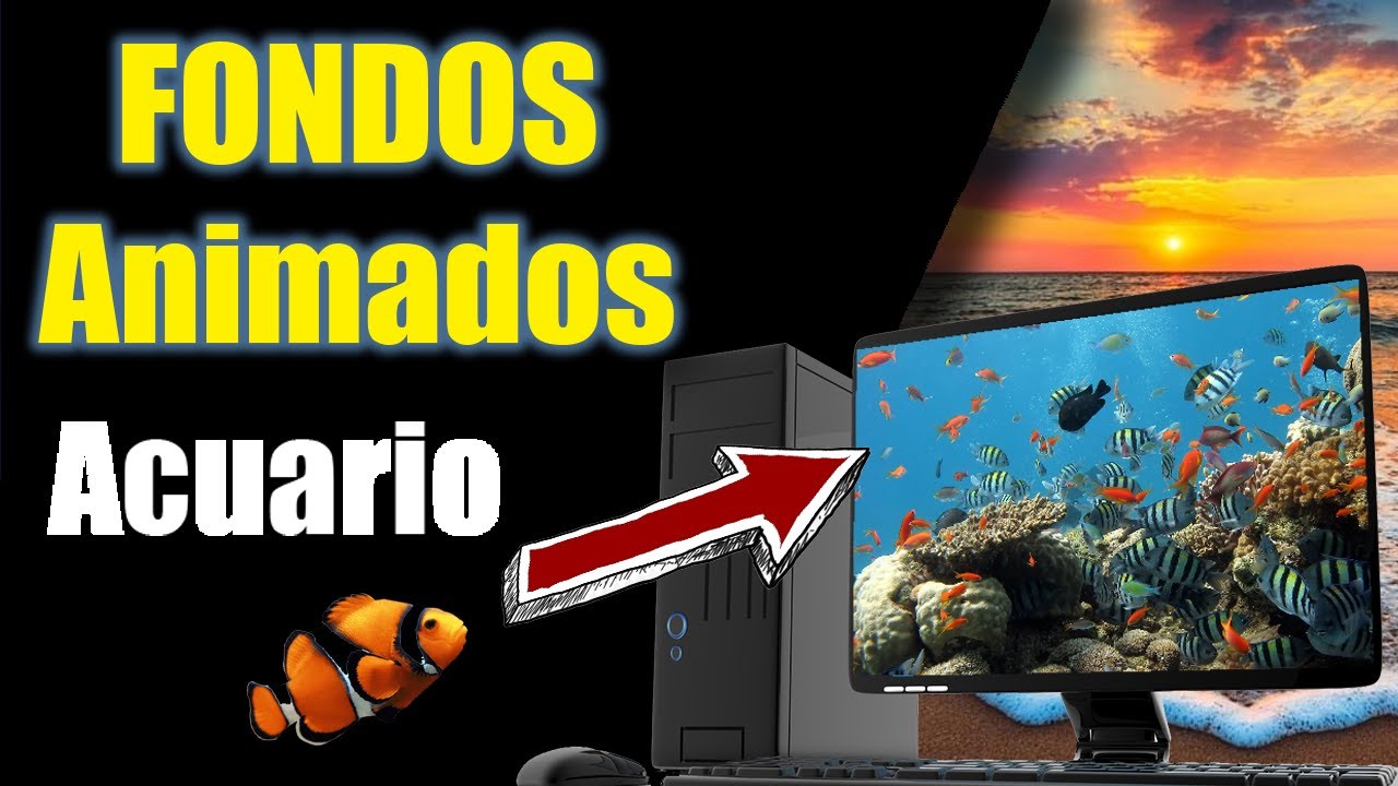 4K AQUARIUS as a MOVING Wallpaper for Laptop/PC