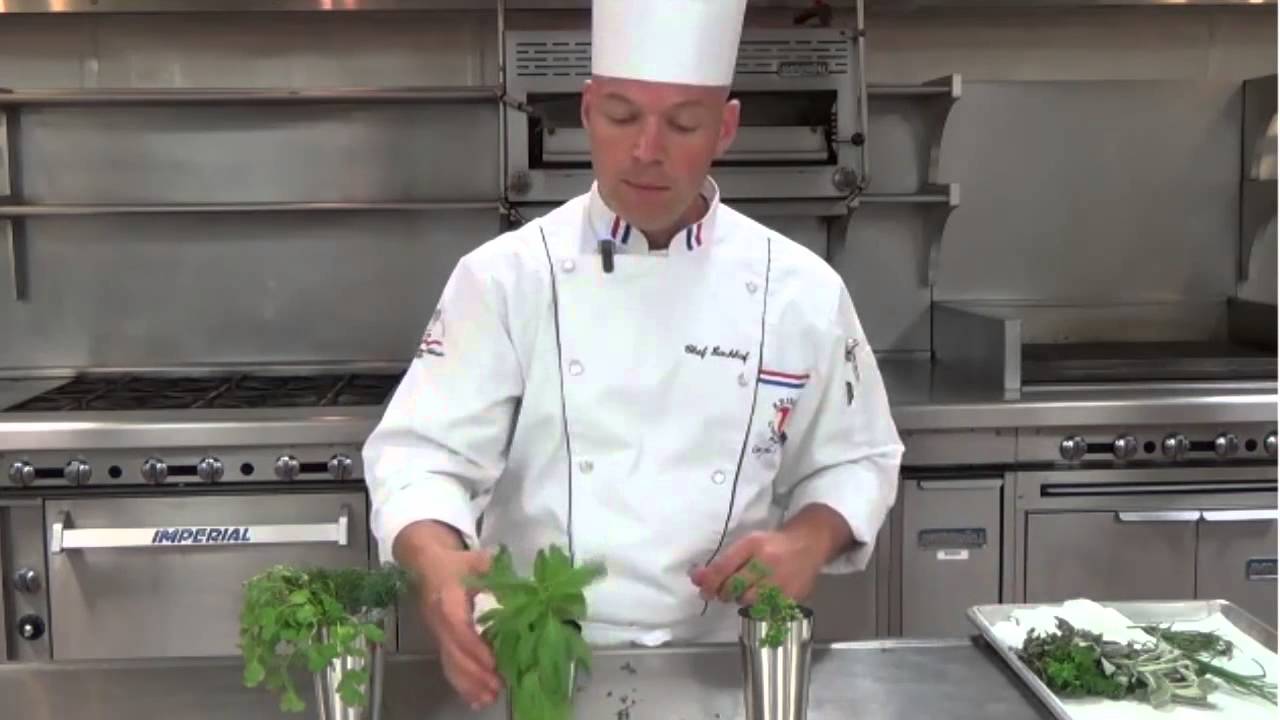 Culinary Herb Identification