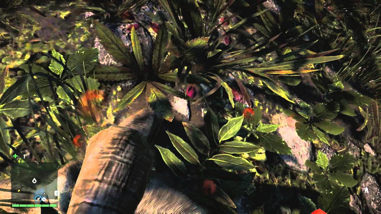 Far Cry 4 - Bharal Location [Tutorial/Guide]