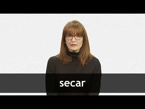 English Translation of “SECAR” | Collins Spanish-English Dictionary