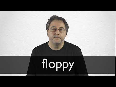 FLOPPY definition and meaning | Collins English Dictionary