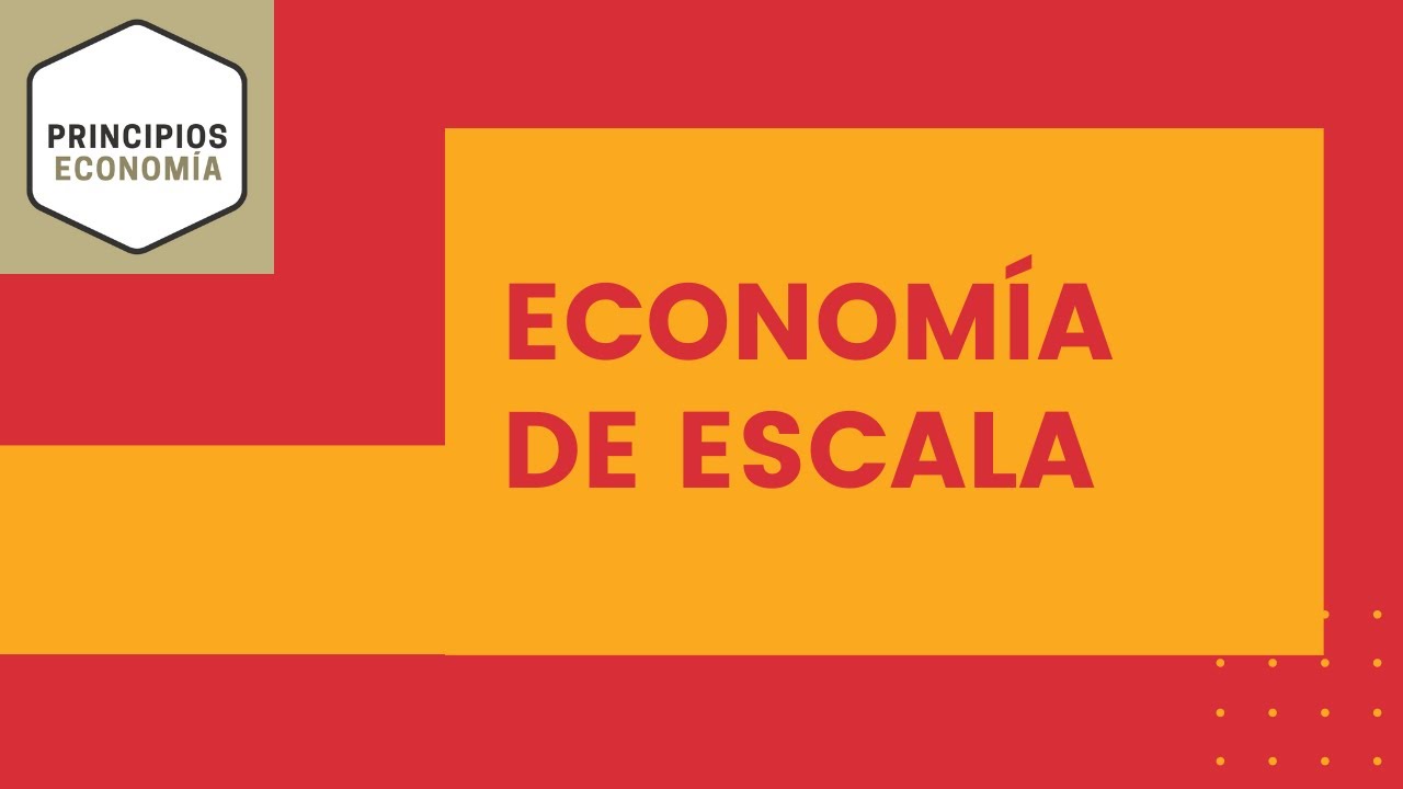 Economía de escala | Explicación sencilla | Cómo funciona y calcular  economía de escala